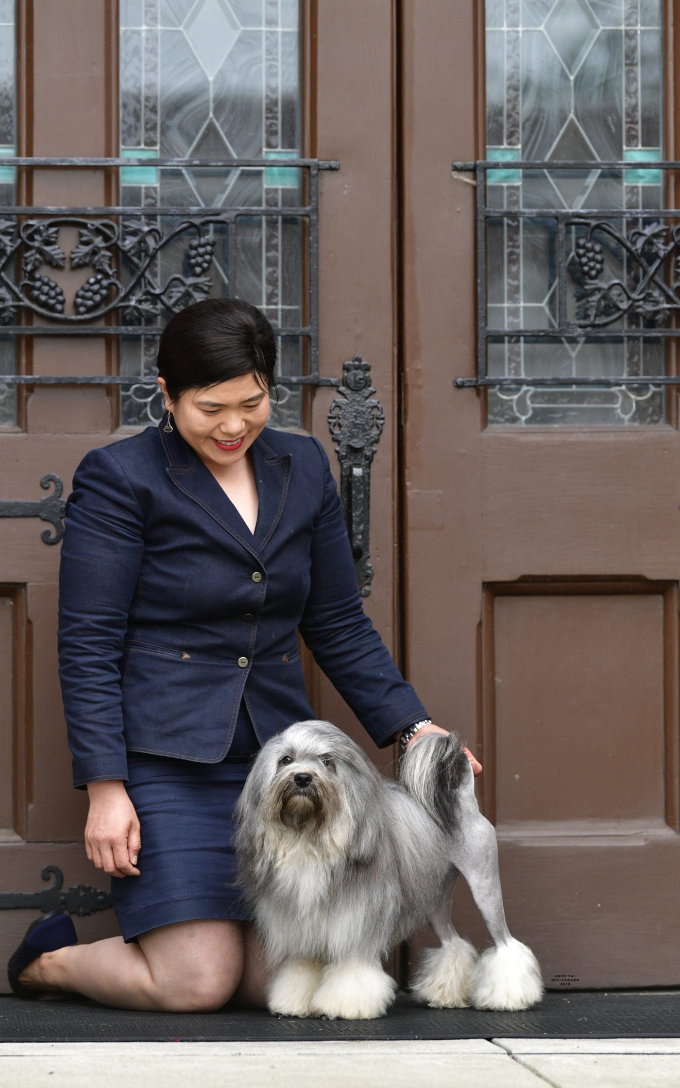 Target – Roman Reign Greater Swiss Mountain Dogs and Lowchens