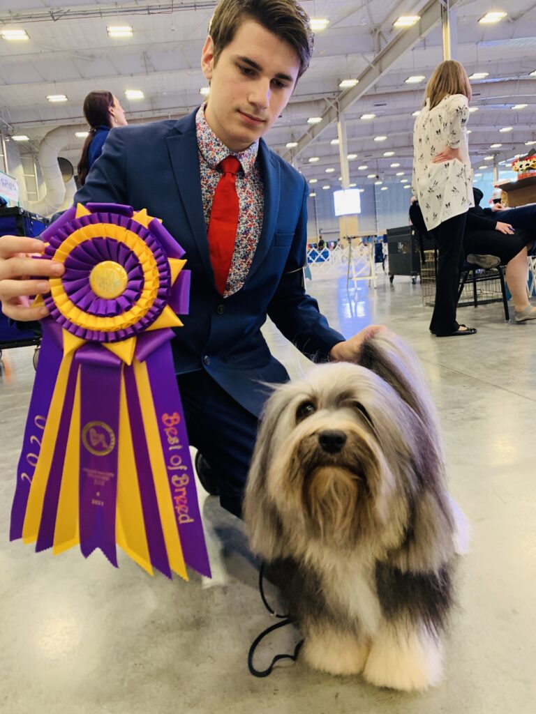 Roman Reign Greater Swiss Mountain Dogs and Lowchens – Preservation ...