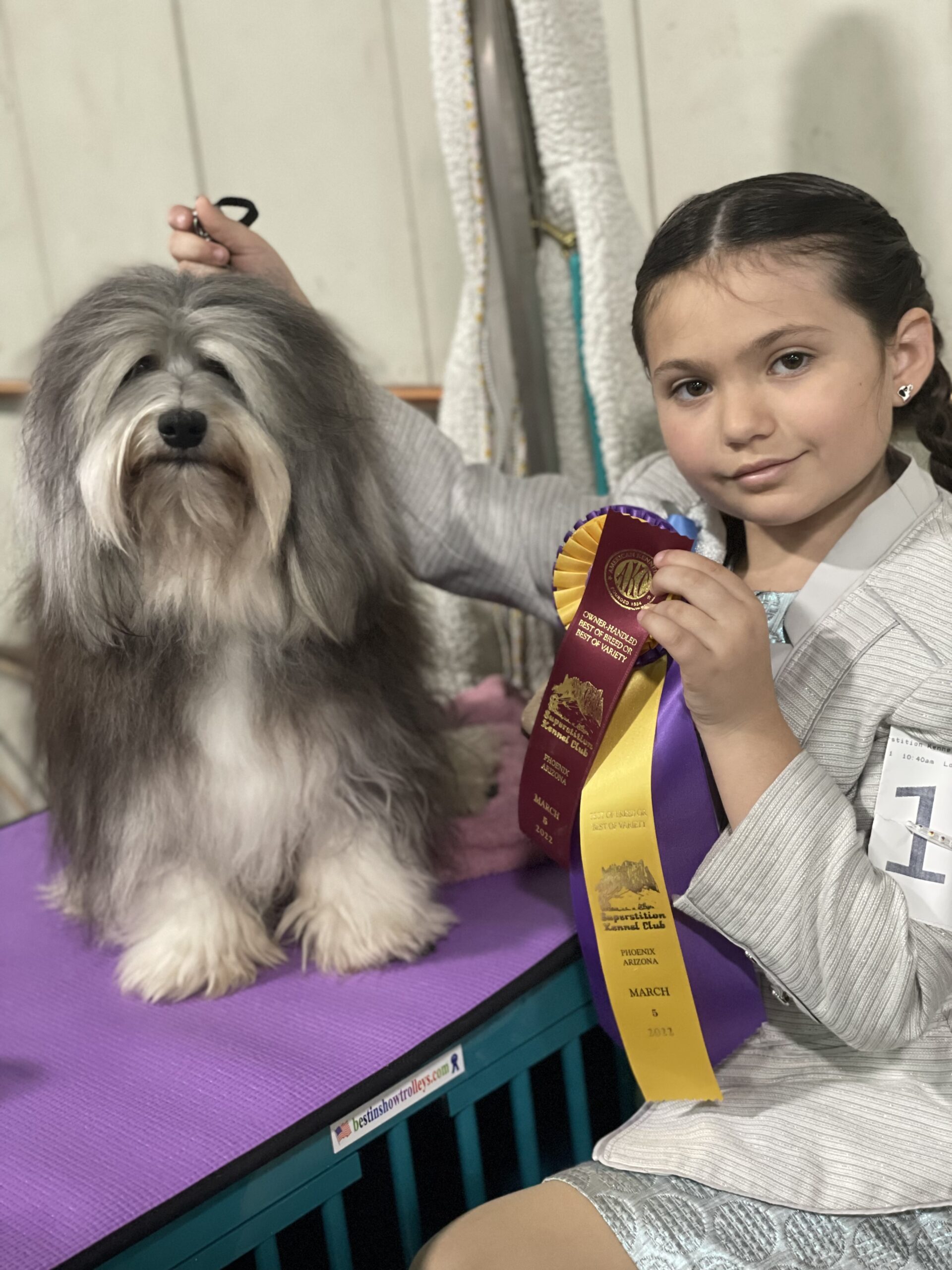 Junior Showmanship - Roman Reign Greater Swiss Mountain Dogs and Lowchens