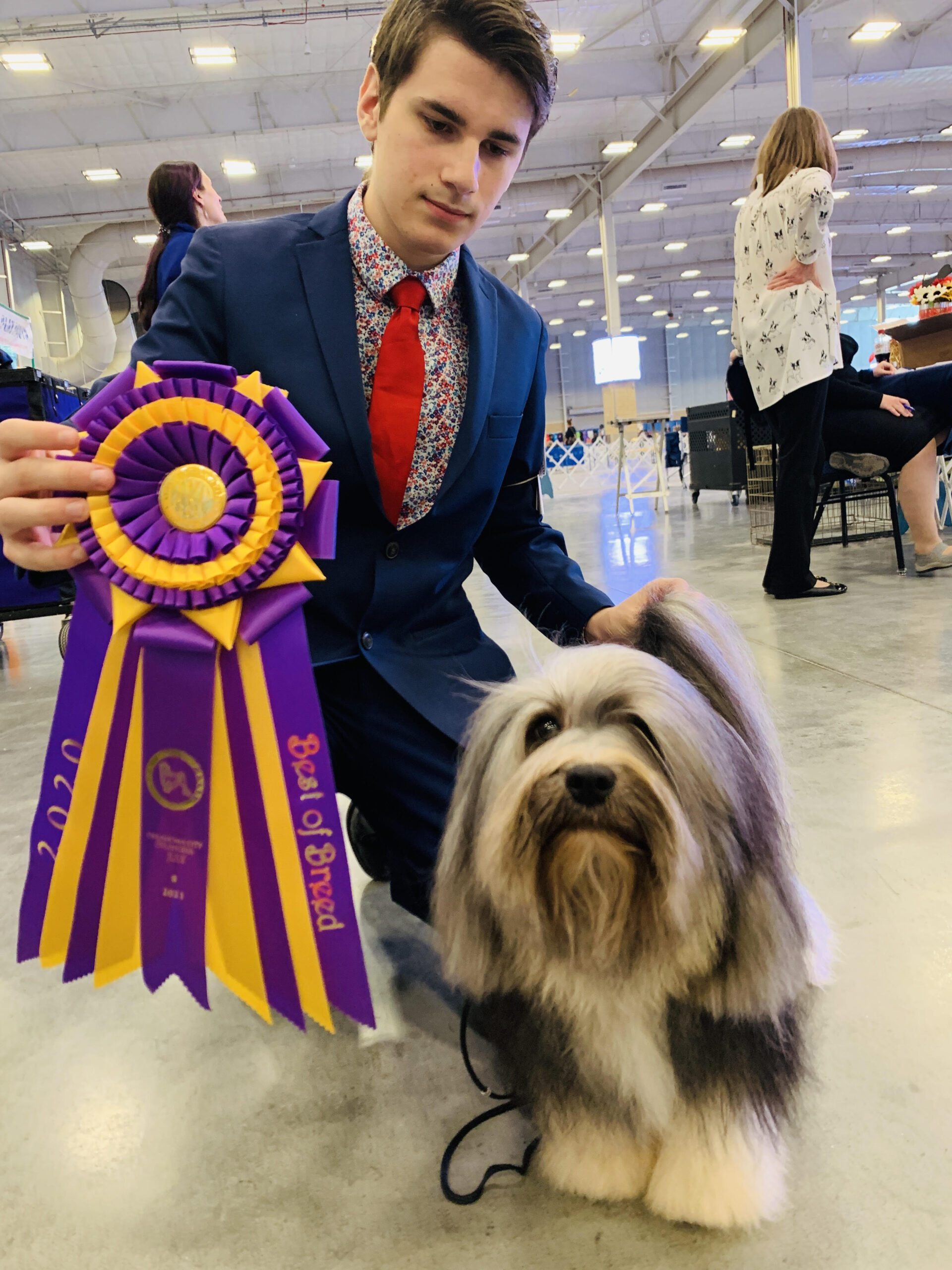 Junior Showmanship - Roman Reign Greater Swiss Mountain Dogs and Lowchens