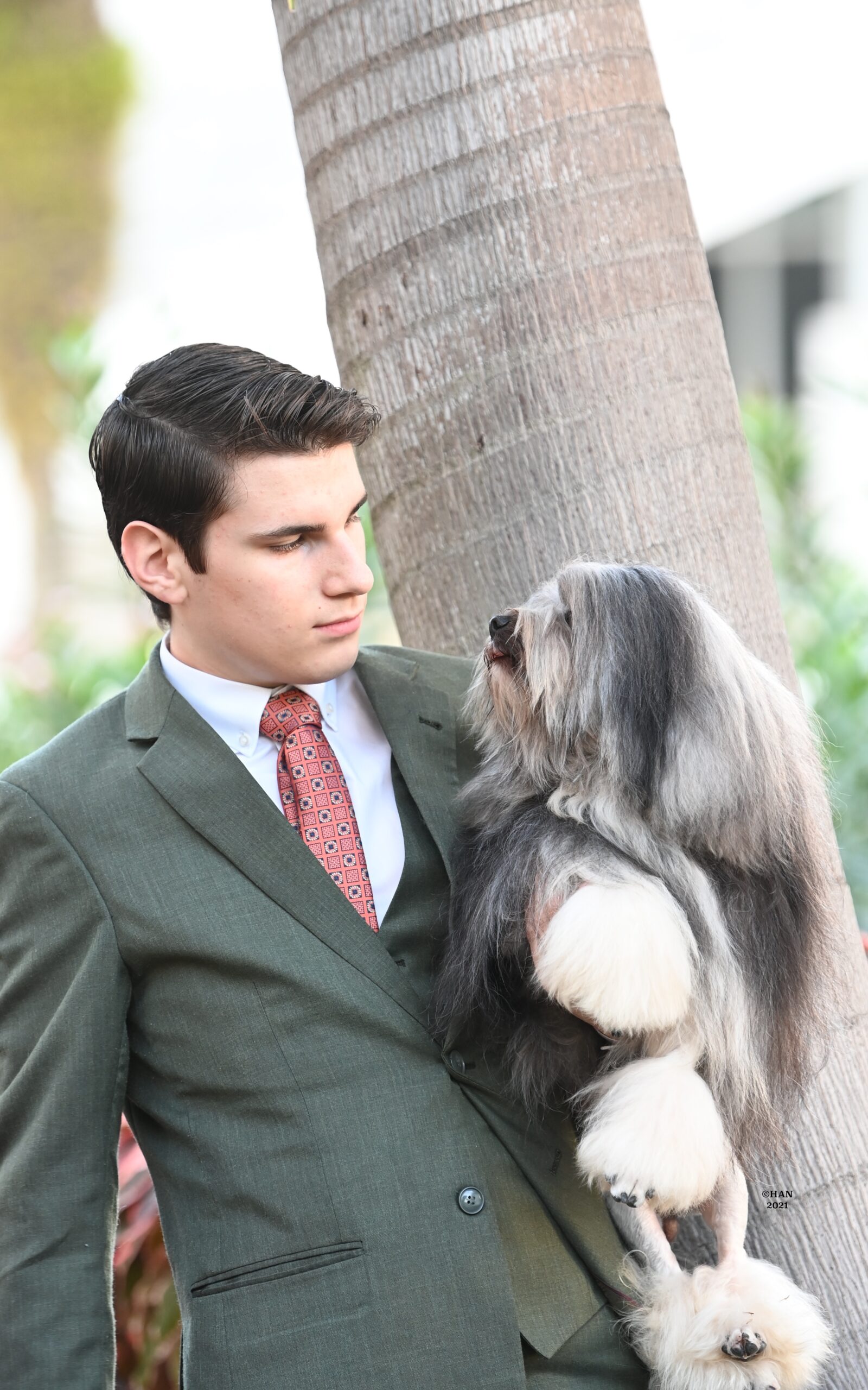 Junior Showmanship - Roman Reign Greater Swiss Mountain Dogs and Lowchens