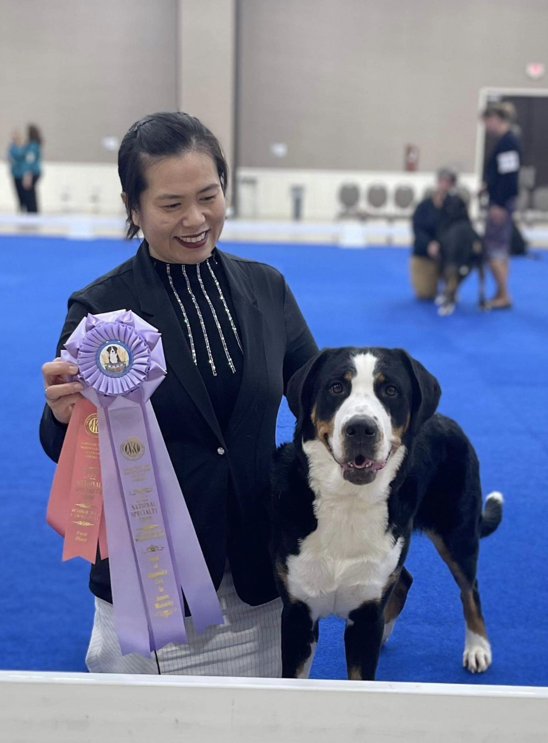 Performance and Conformation Dogs - Roman Reign Greater Swiss Mountain ...