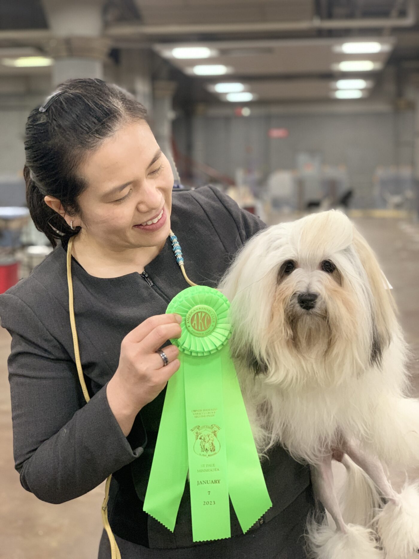 Performance and Conformation Dogs - Roman Reign Greater Swiss Mountain ...