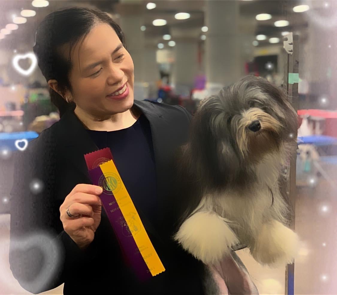 Performance and Conformation Dogs - Roman Reign Greater Swiss Mountain ...